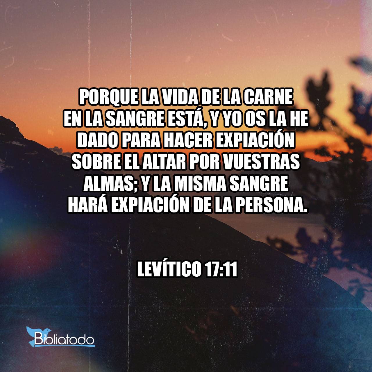Levítico 17:11 RV1960 - Porque la vida de la carne en la sangre está, y ...