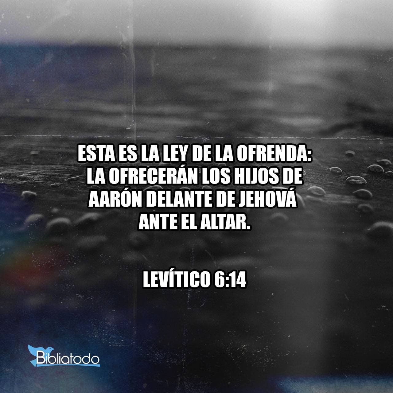 Levítico 6:14 BL95 - La freirán en aceite, en una sartén, y la ...