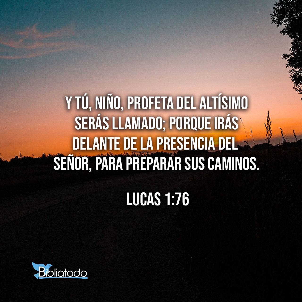 Lucas 1:76 Referencias Cruzadas de la Biblia | Conexiones Versículo a Versículo - JER
