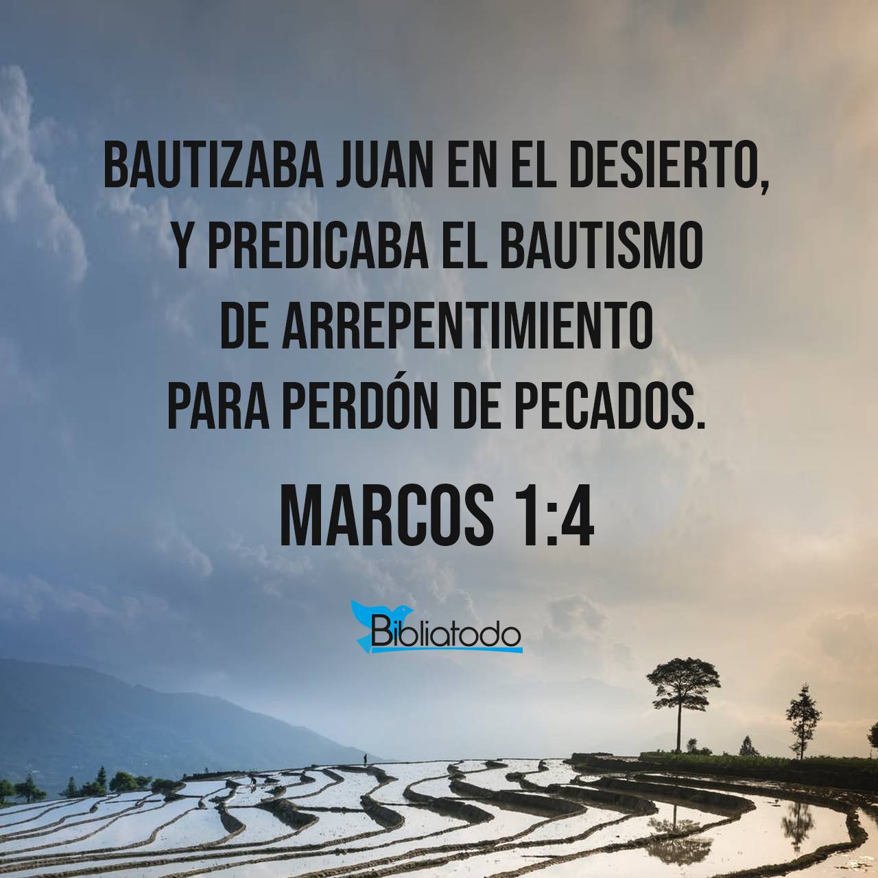 Marcos 1:4 RV1960 - Bautizaba Juan en el desierto, y predicaba el ...