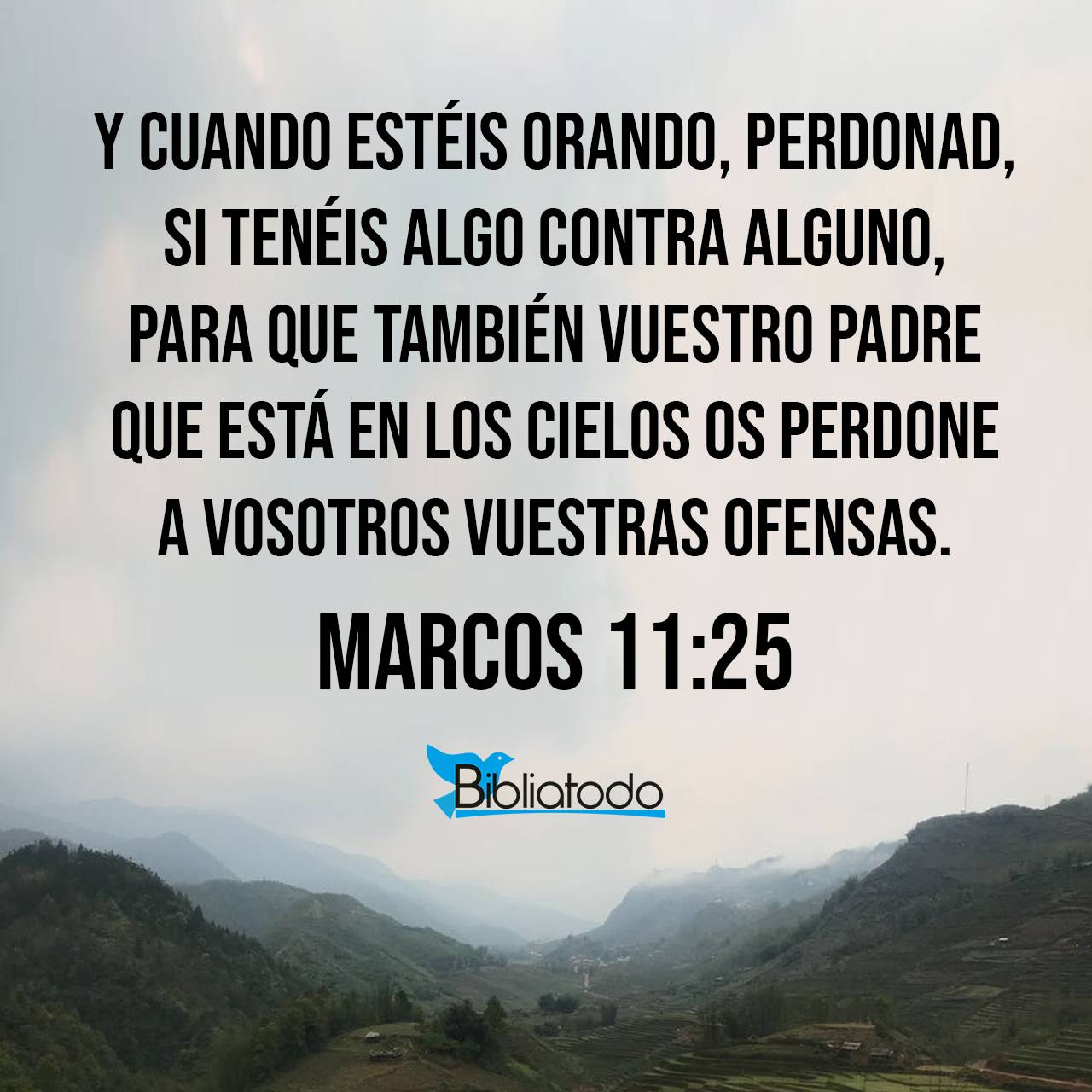 Marcos 11:25 JER - Y cuando os pongáis de pie para orar, perdonad, si ...