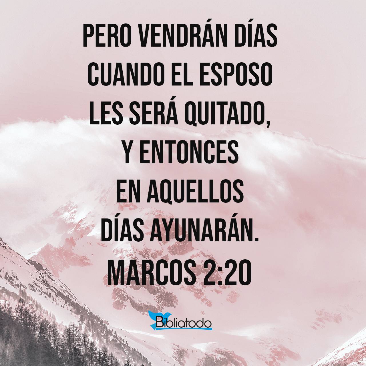 Marcos 2:20 SBVUJ - Días vendrán en que les será arrebatado el novio ...