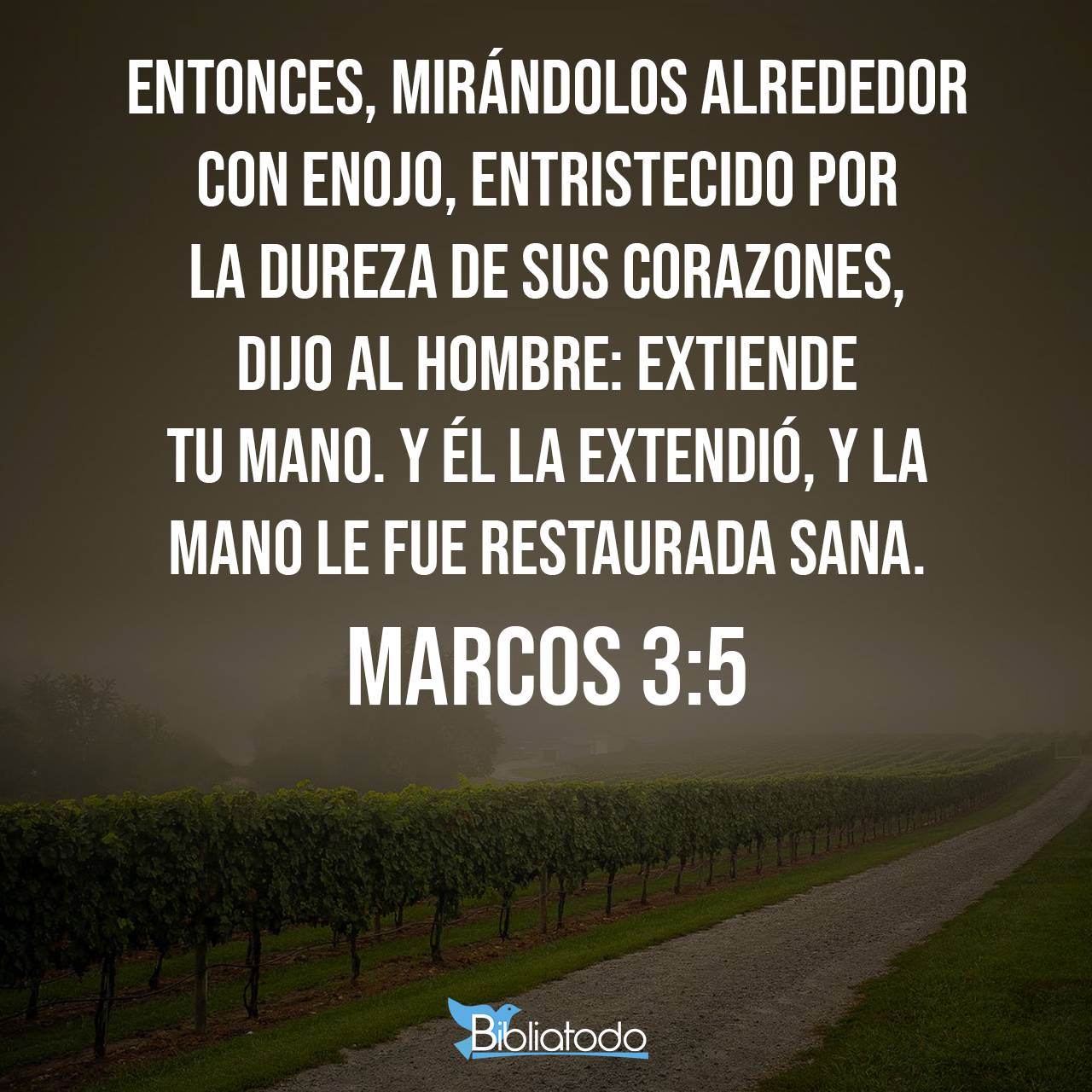 Marcos 3:5 RV1960 - Entonces, mirándolos alrededor con enojo ...
