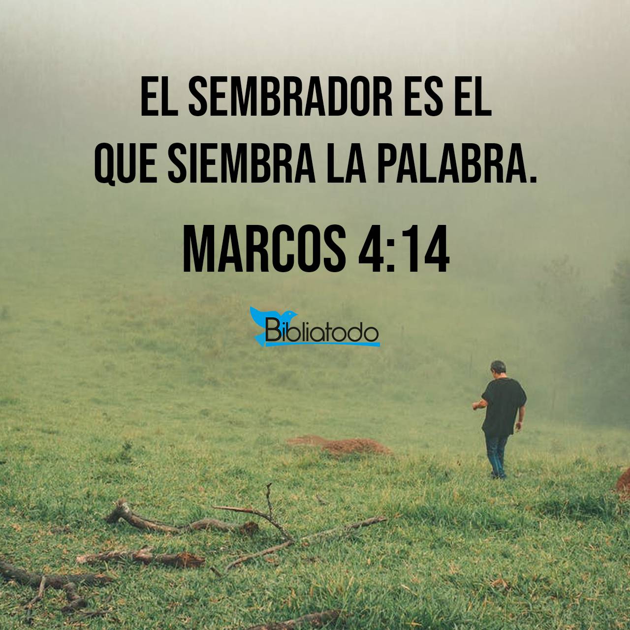 Marcos 4:14 TLA - »El campesino representa al que anuncia las buenas ...