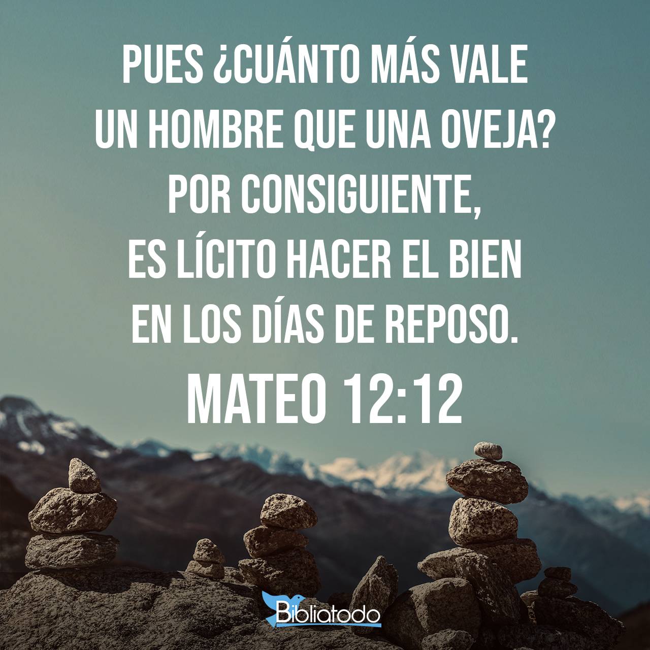 Mateo 12:12 RV1960 - Pues ¿cuánto más vale un hombre que una oveja? Por ...
