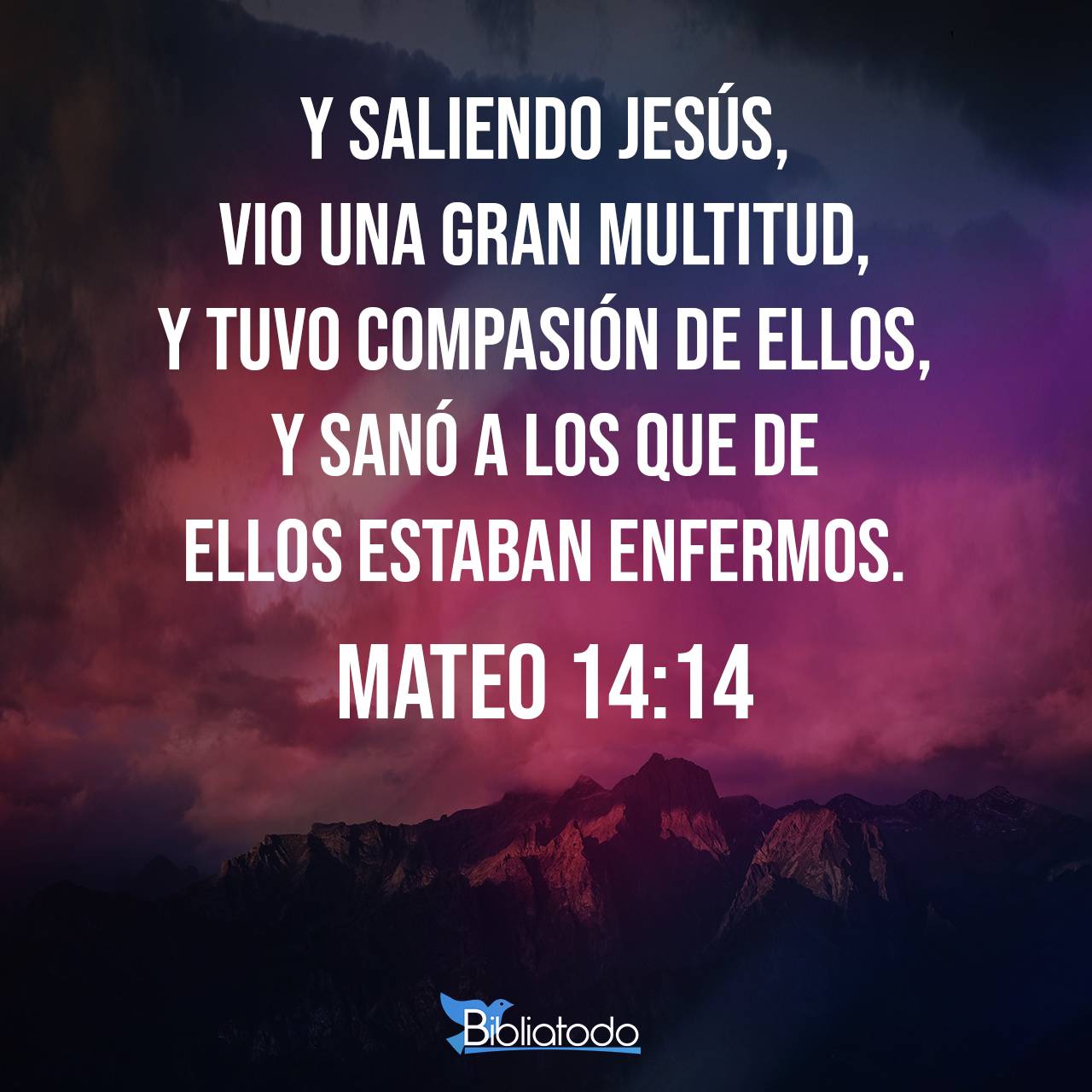 Mateo 14:14 Referencias Cruzadas de la Biblia | Conexiones Versículo a Versículo - NTV