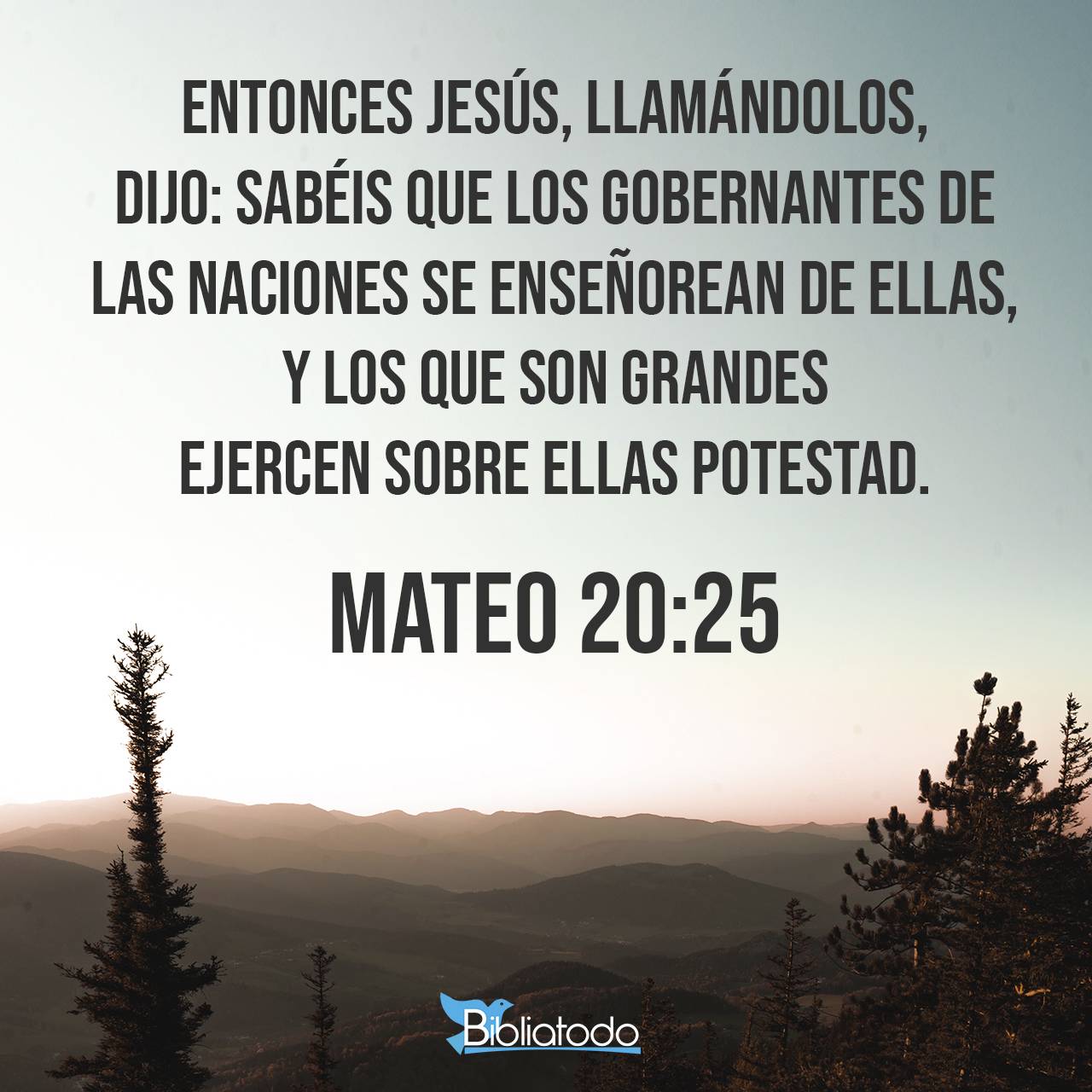 Mateo 20:25 Referencias Cruzadas de la Biblia | Conexiones Versículo a Versículo - RV1960