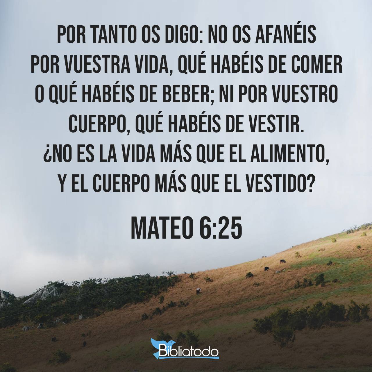 Mateo 6:25 RV1960 - Por tanto os digo: No os afanéis por vuestra vida ...