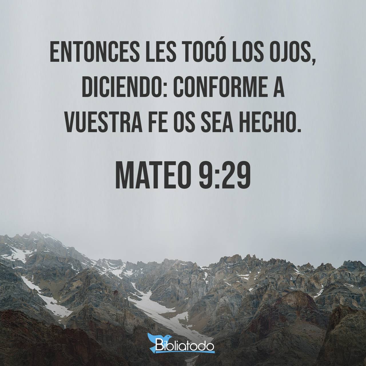 Mateo 9:29 RV1960 - Entonces les tocó los ojos, diciendo: Conforme a ...