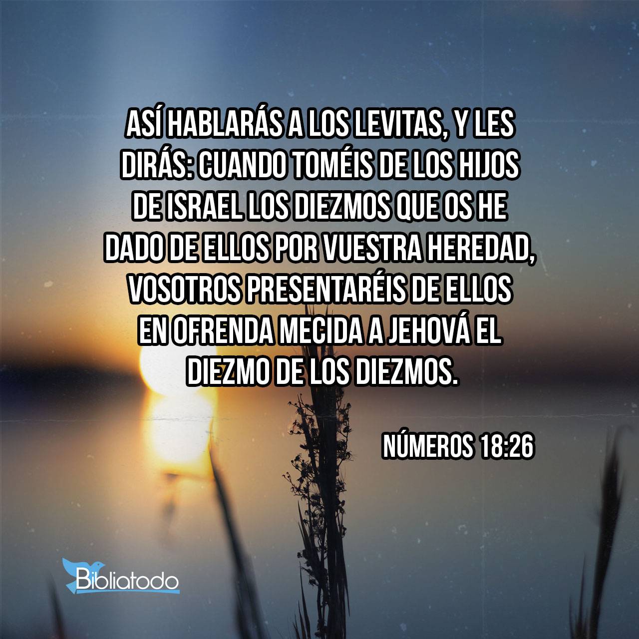 Números 18:26 RVC - «Habla con los levitas, y diles: “Cuando ustedes ...