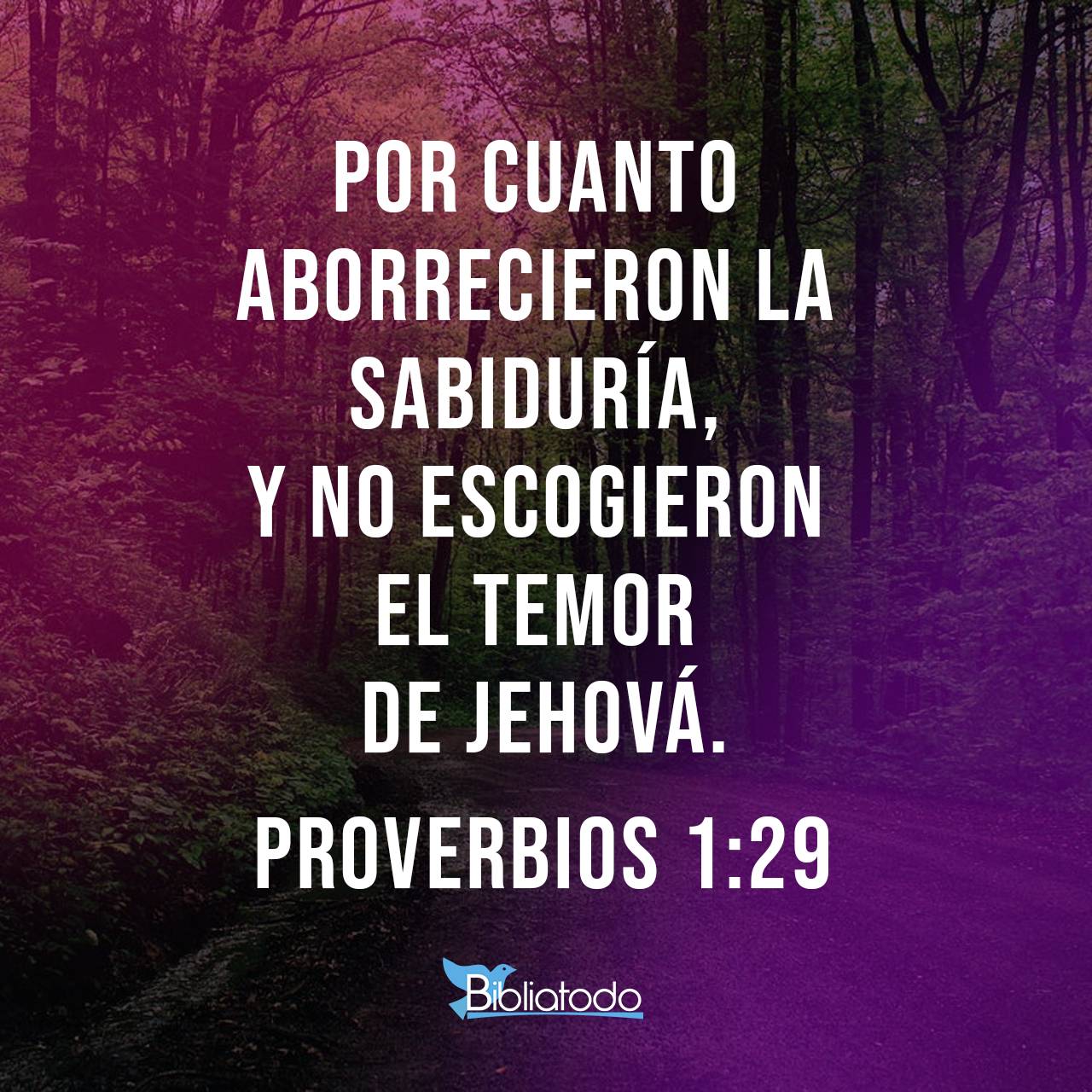 Proverbios 1:29 RV1960 - Por cuanto aborrecieron la sabiduría, Y no ...
