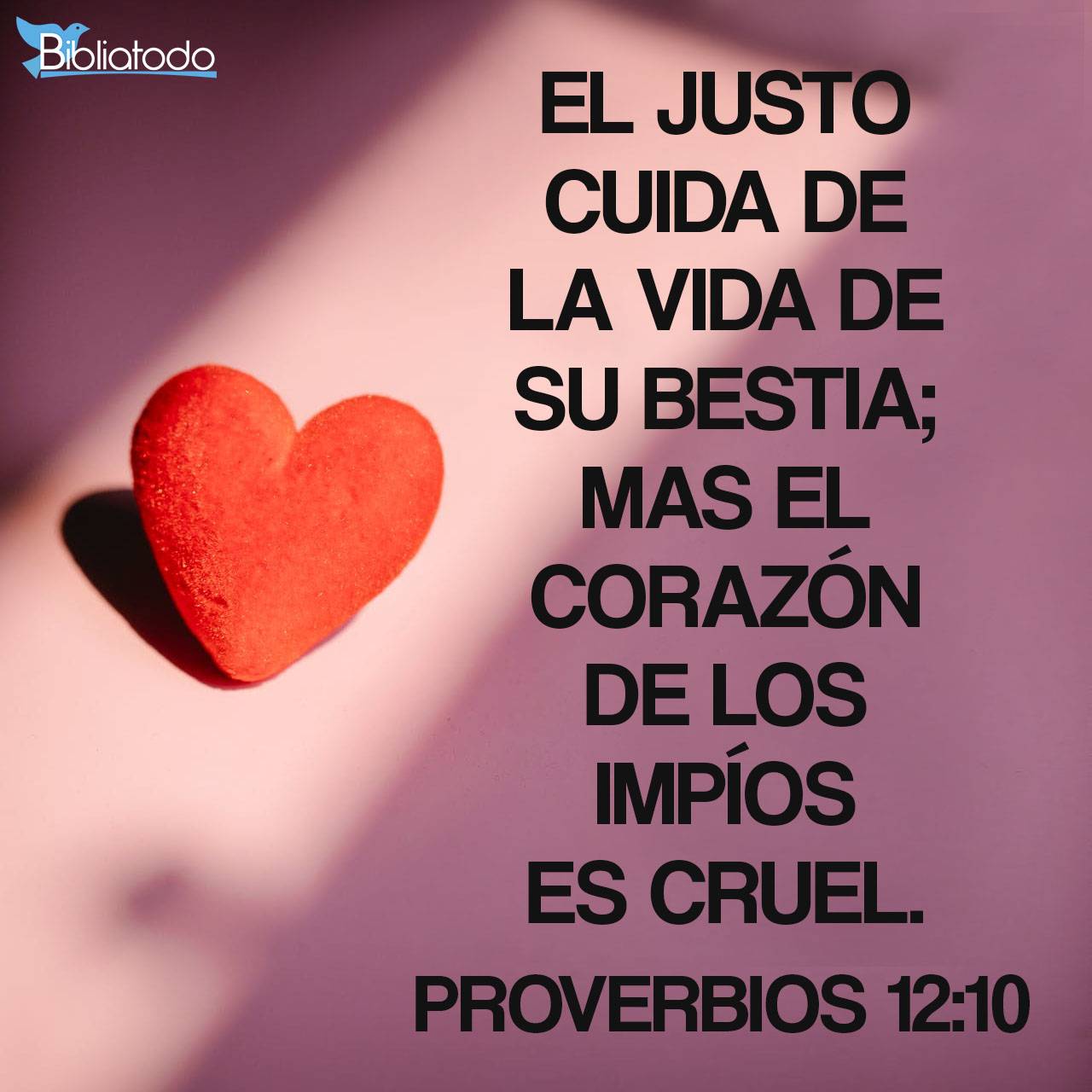 Proverbios 12:10 RV1960 - El justo cuida de la vida de su bestia; Mas ...