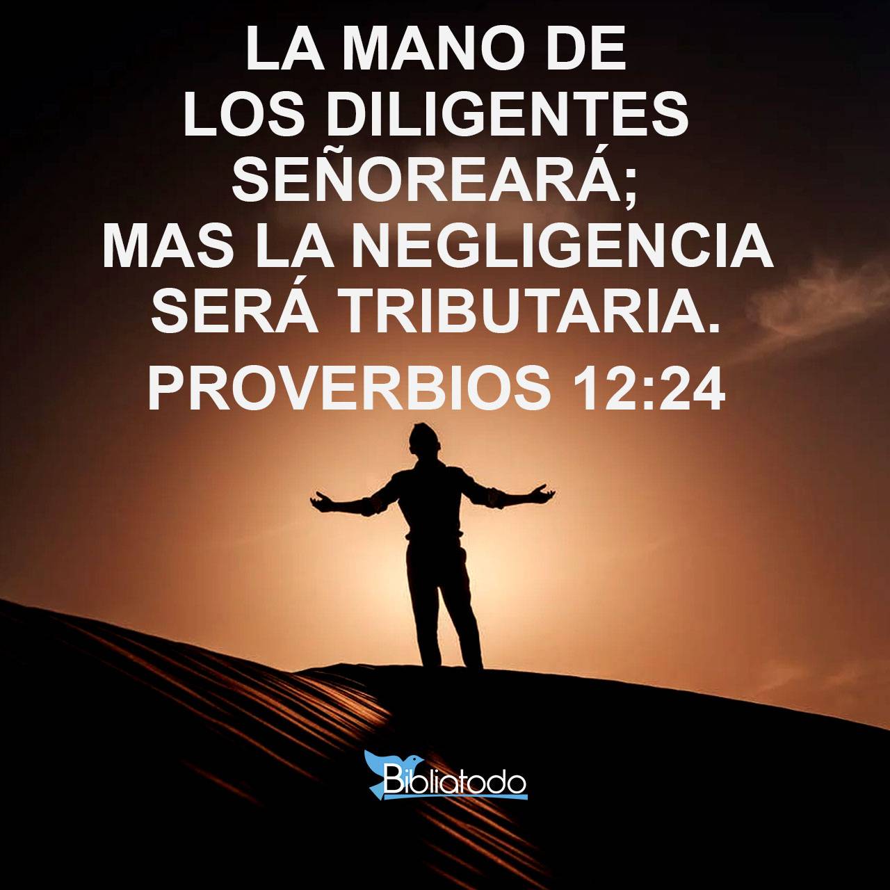 Proverbios 12:24 RV1960 - La mano de los diligentes señoreará; Mas la ...