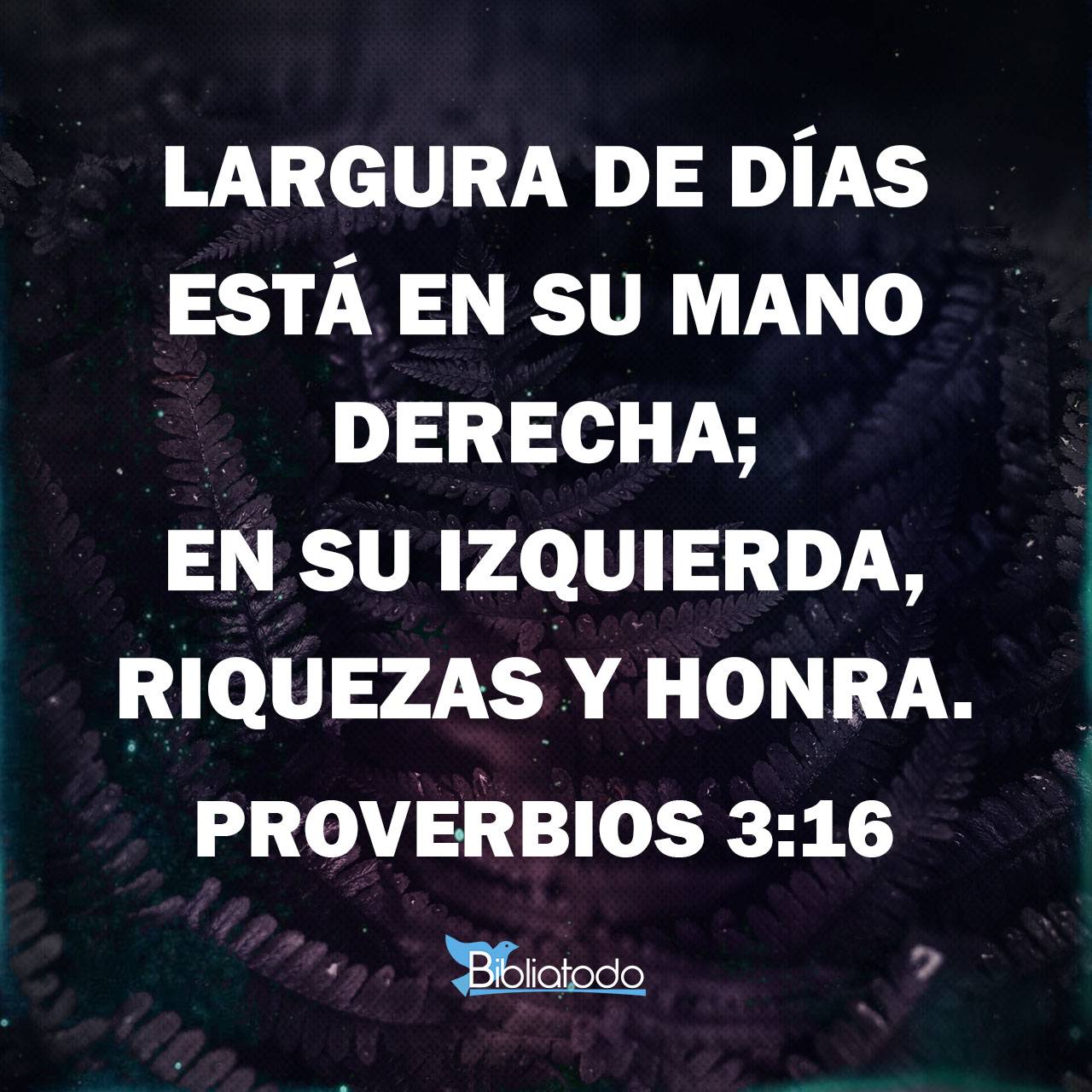 Proverbios 3:16 Referencias Cruzadas de la Biblia | Conexiones ...