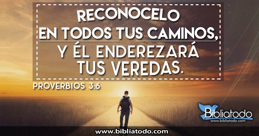 Proverbios 3:6 Referencias Cruzadas de la Biblia | Conexiones Versículo ...