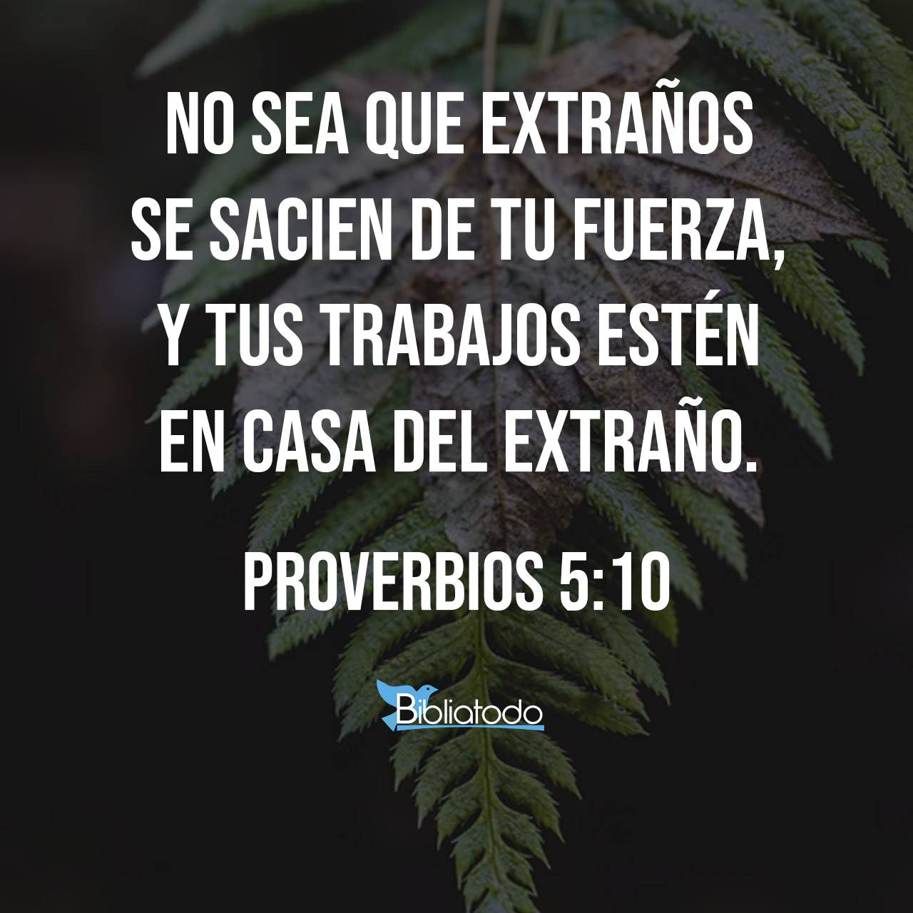 Proverbios 5:10 Referencias Cruzadas de la Biblia | Conexiones Versículo a Versículo - TLA