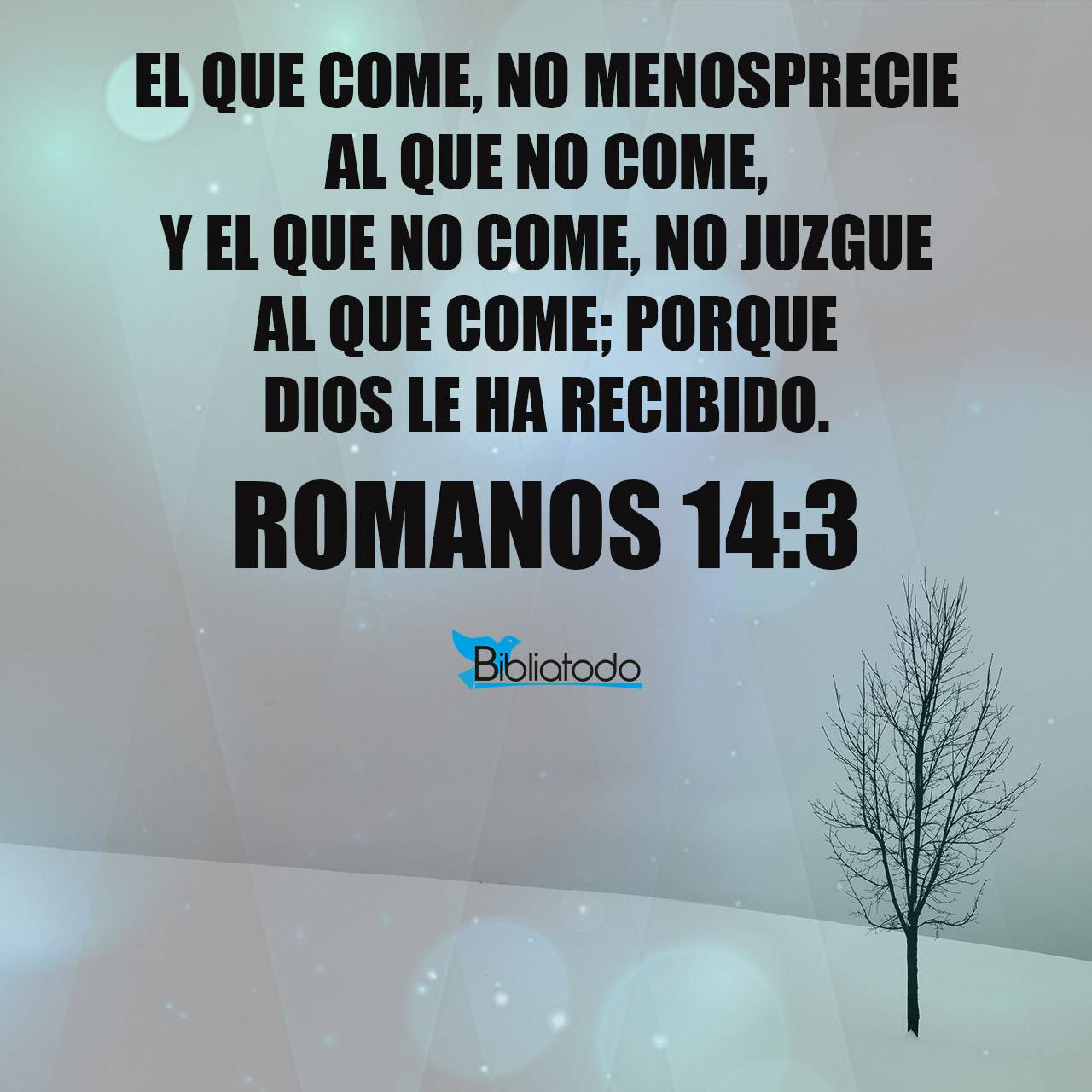 Romanos 14:3 Referencias Cruzadas de la Biblia | Conexiones Versículo a Versículo - NBV