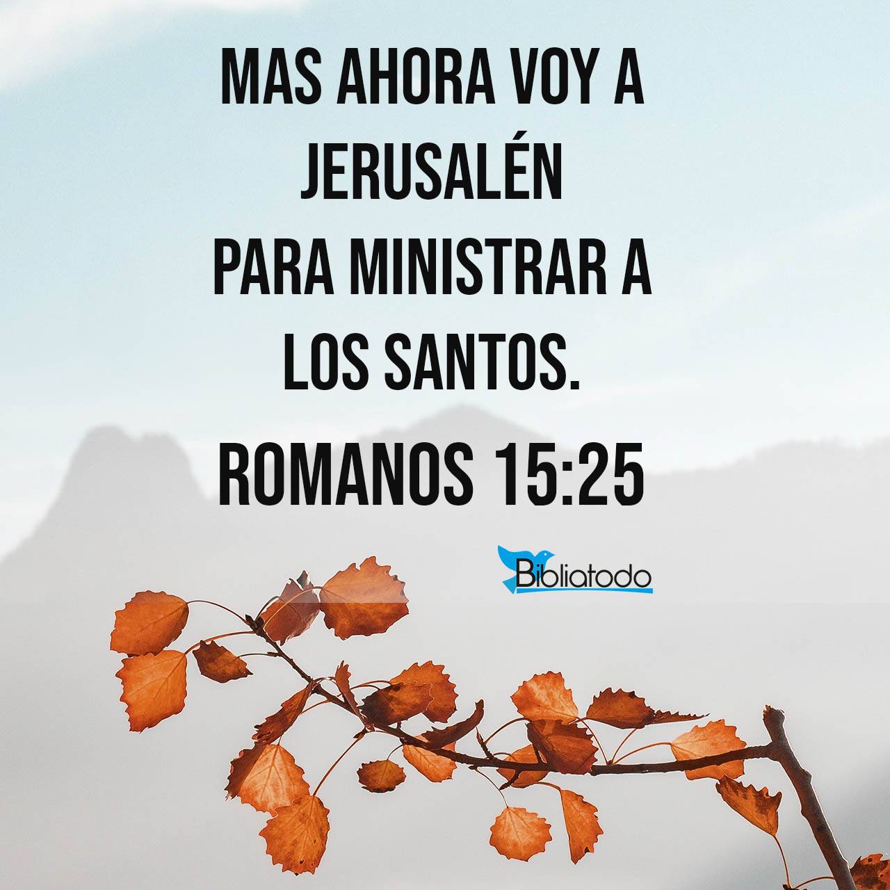 Romanos 15:25 Referencias Cruzadas de la Biblia | Conexiones Versículo a Versículo - NTV