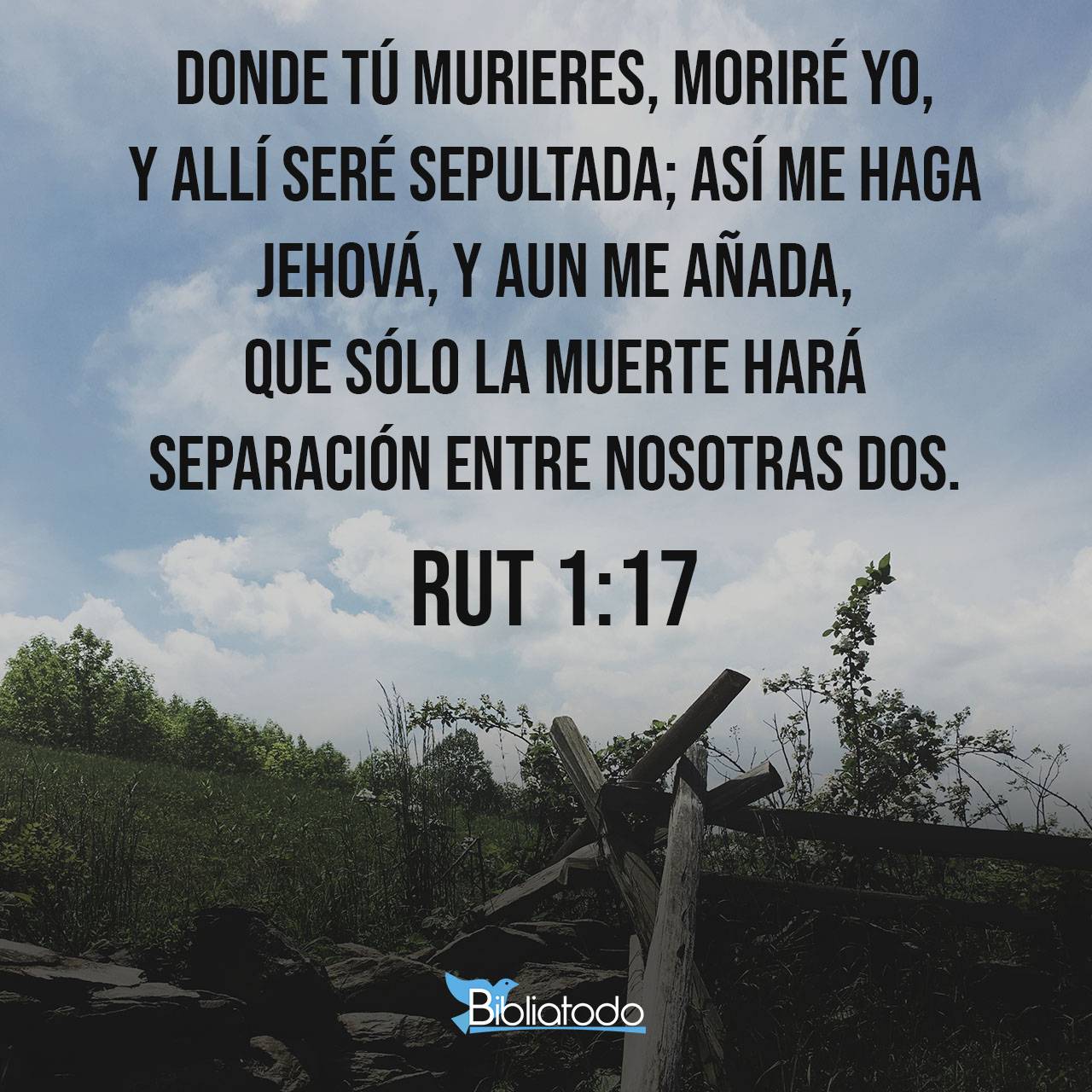 Rut 1:17 RV1960 - Donde tú murieres, moriré yo, y allí seré sepultada ...