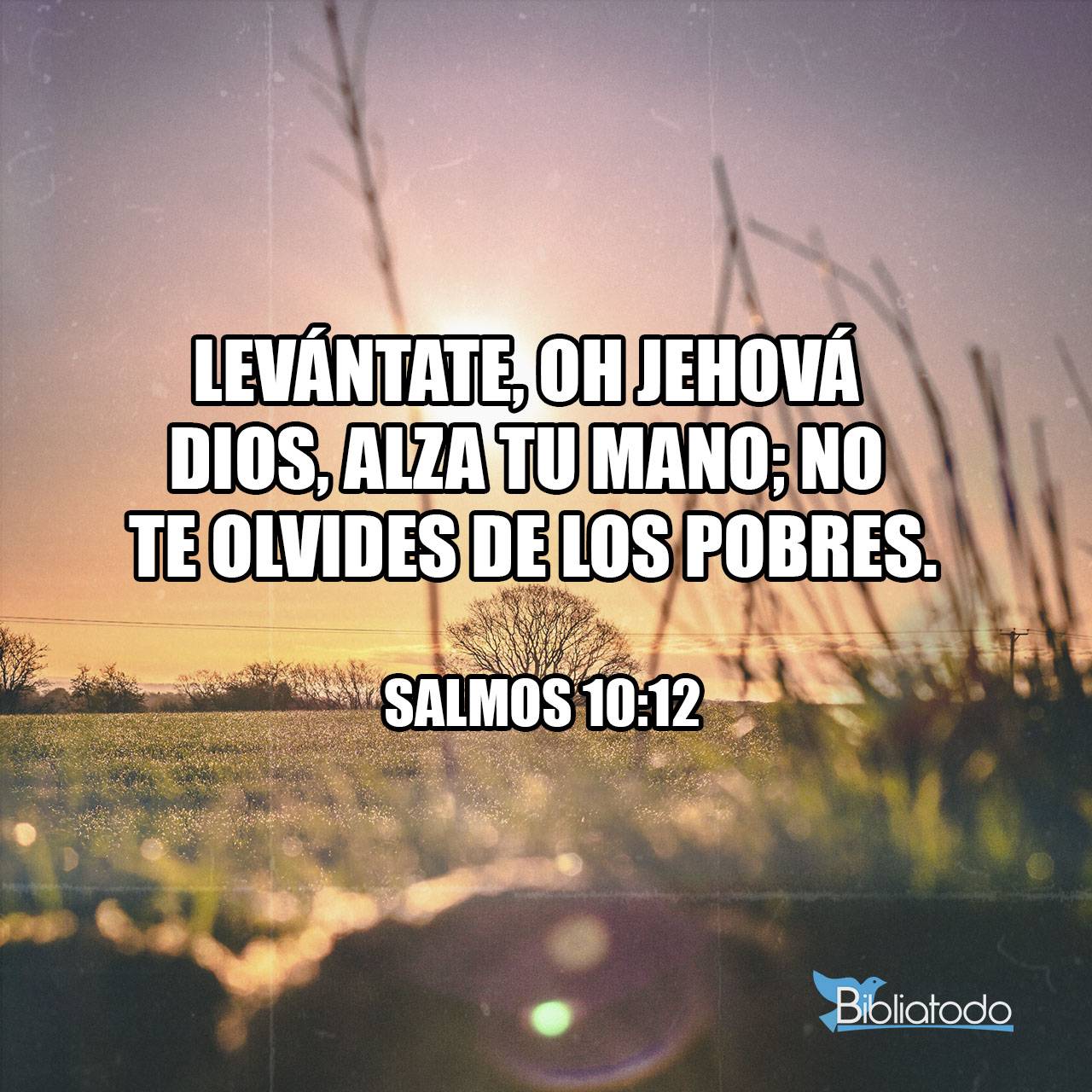 Salmos 10:12 TA - Levántate, pues, ¡oh Señor Dios!, alza tu poderosa ...