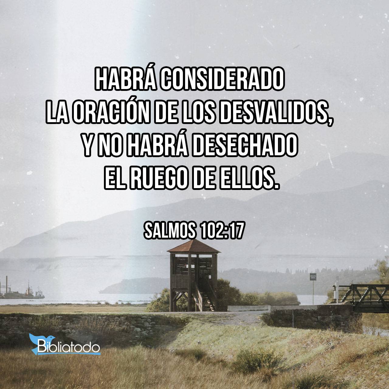 Salmos 102:17 RV1960 - Habrá considerado la oración de los desvalidos ...