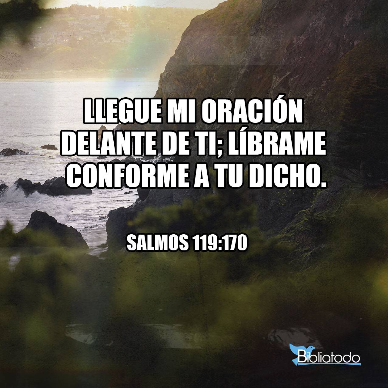 Salmos 119:170 RV1960 - Llegue mi oración delante de ti; Líbrame ...