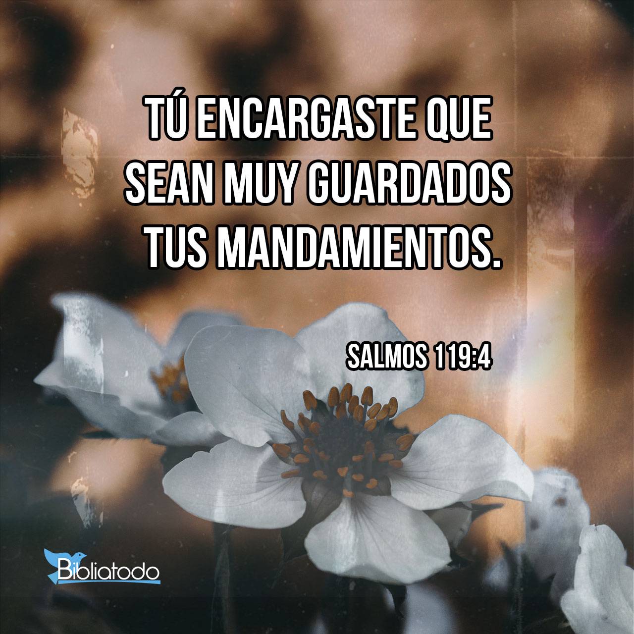 Salmos 119:4 TA - Tú ordenaste que se guarden exactamente tus mandamientos.