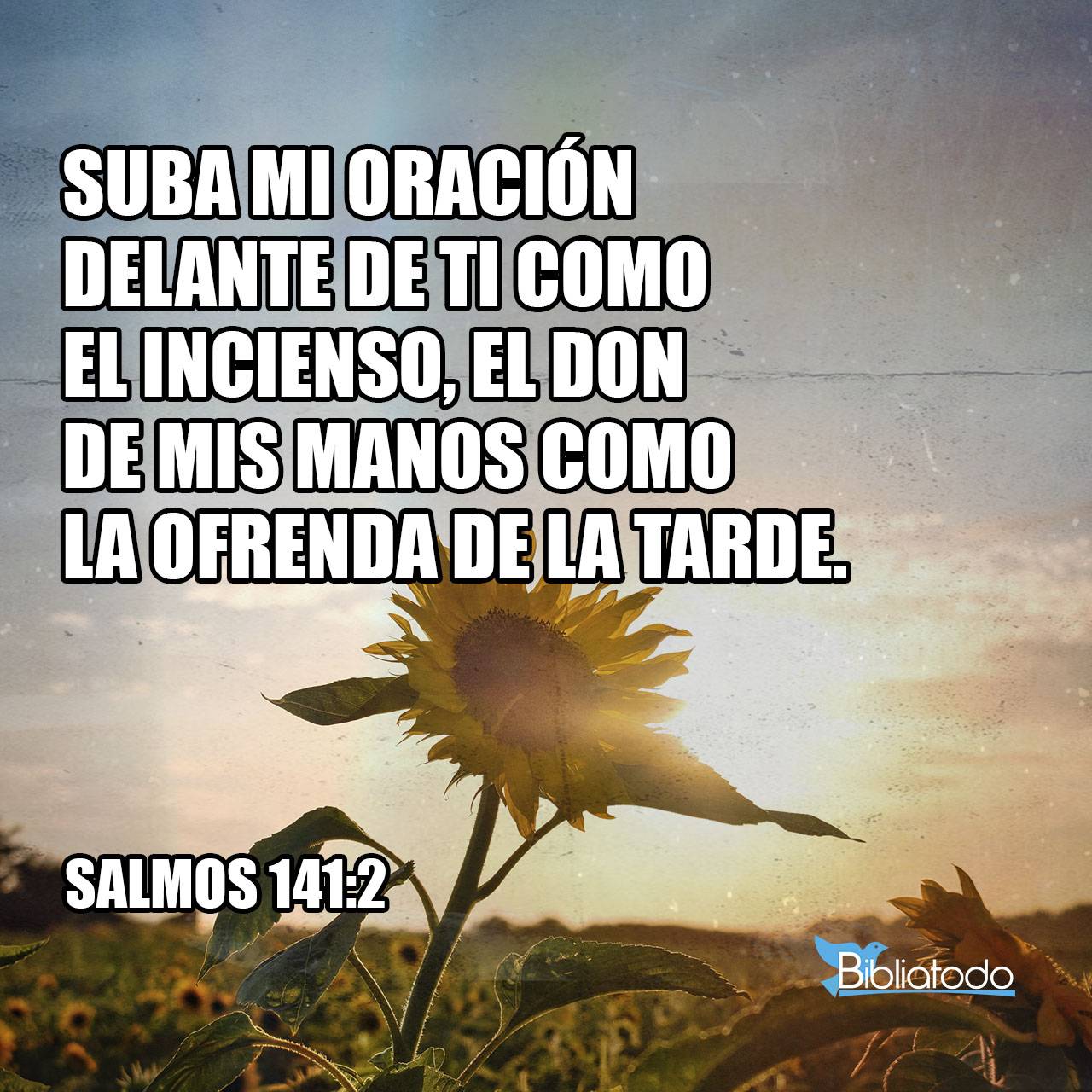 Salmos 141:2 TA - Ascienda mi oración ante tu acatamiento, como el olor ...