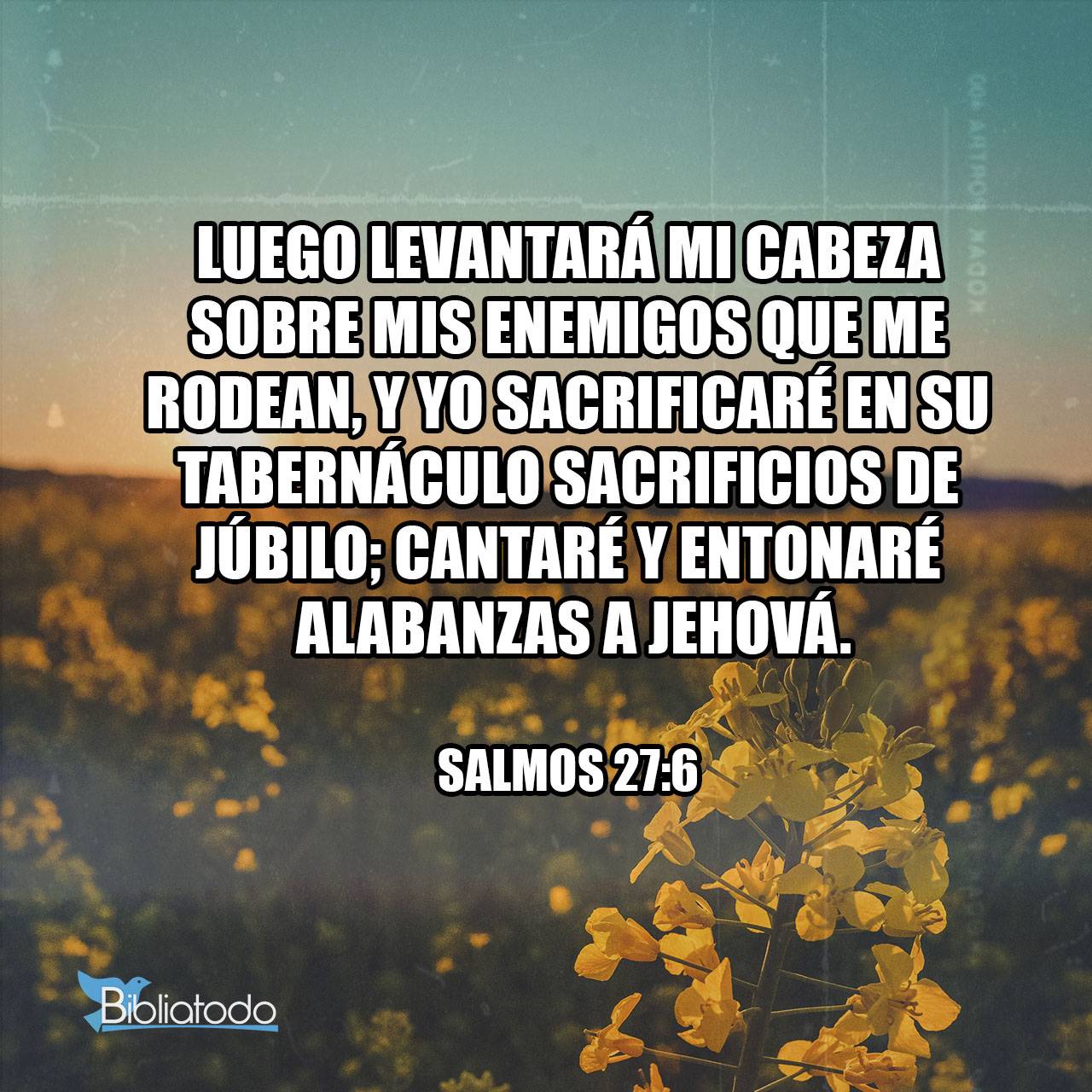 Salmos 27:6 NBV - Entonces alzaré mi cabeza, sobre todos mis enemigos ...