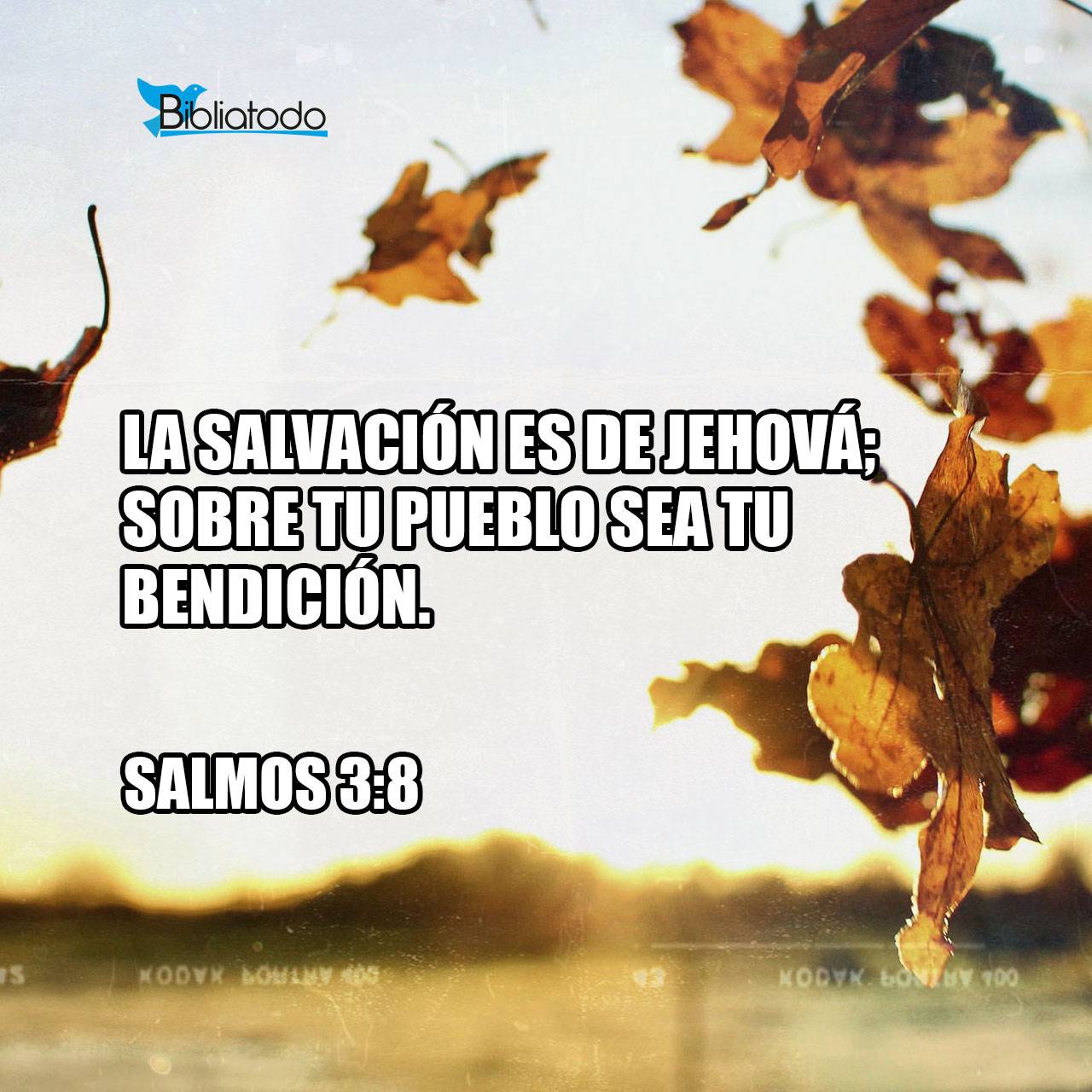 Salmos 3:8 RV1960 - La salvación es de Jehová; Sobre tu pueblo sea tu ...