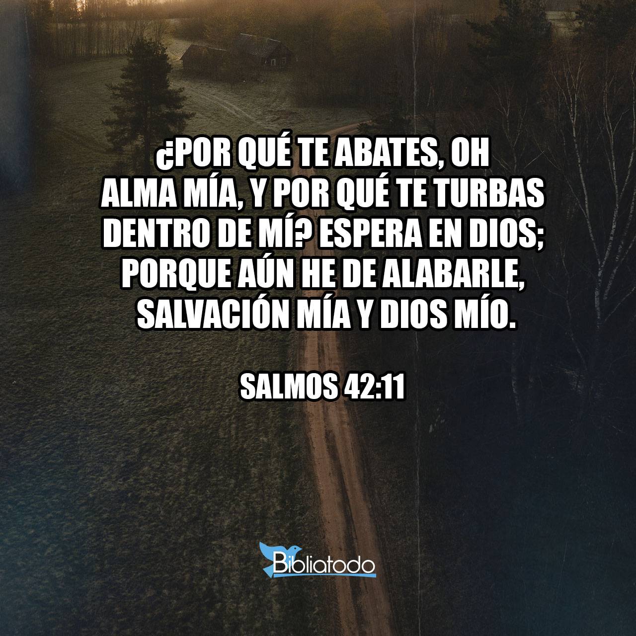 Salmos 42:11 RV1960 - ¿Por qué te abates, oh alma mía, Y por qué te ...