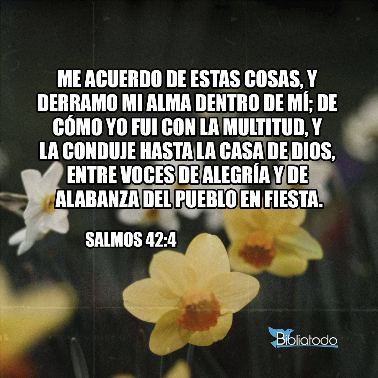 Salmos 42:4 RV1960 - Me acuerdo de estas cosas, y derramo mi alma ...