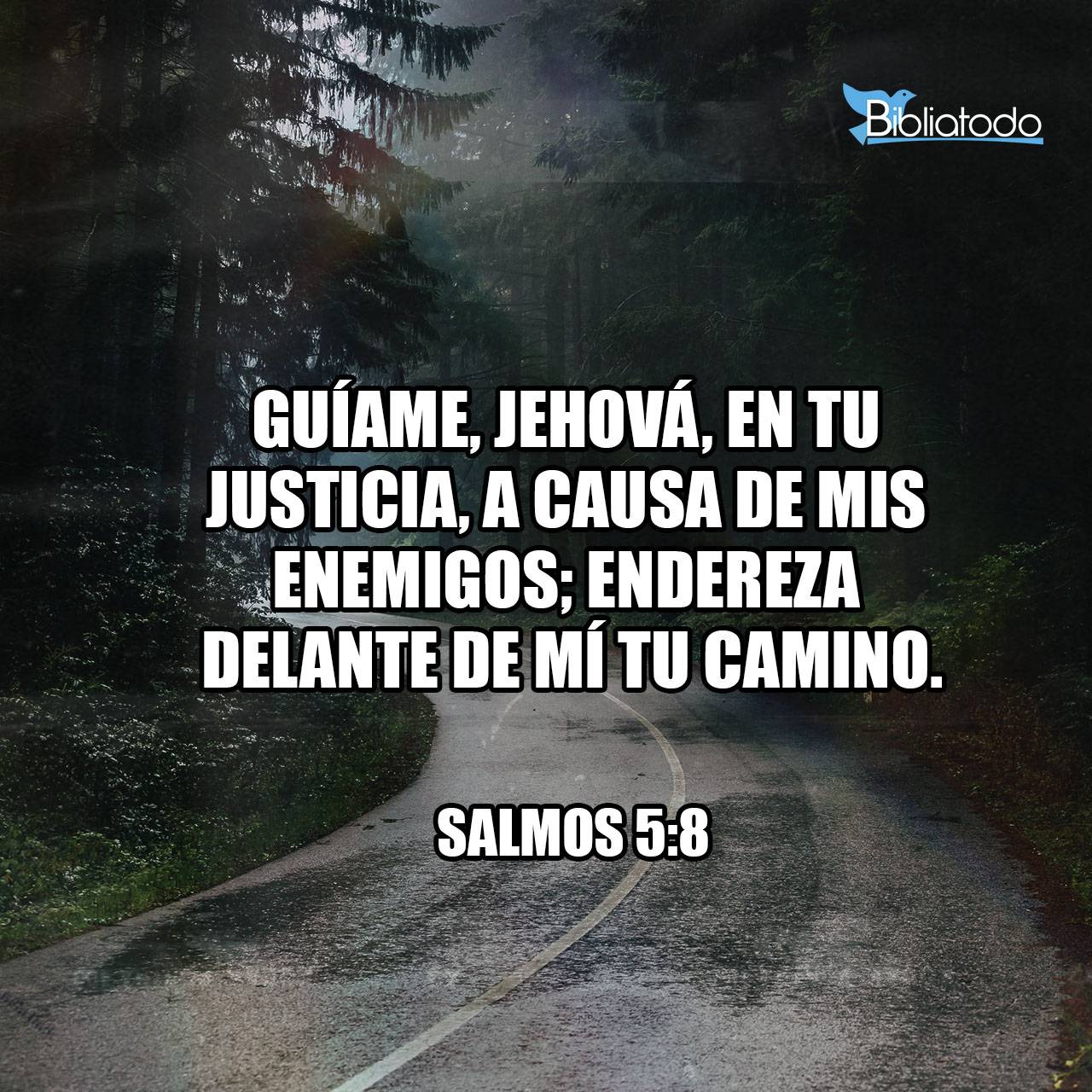 Salmos 5:8 TNM - Oh Jehová, guíame en tu justicia a causa de mis ...