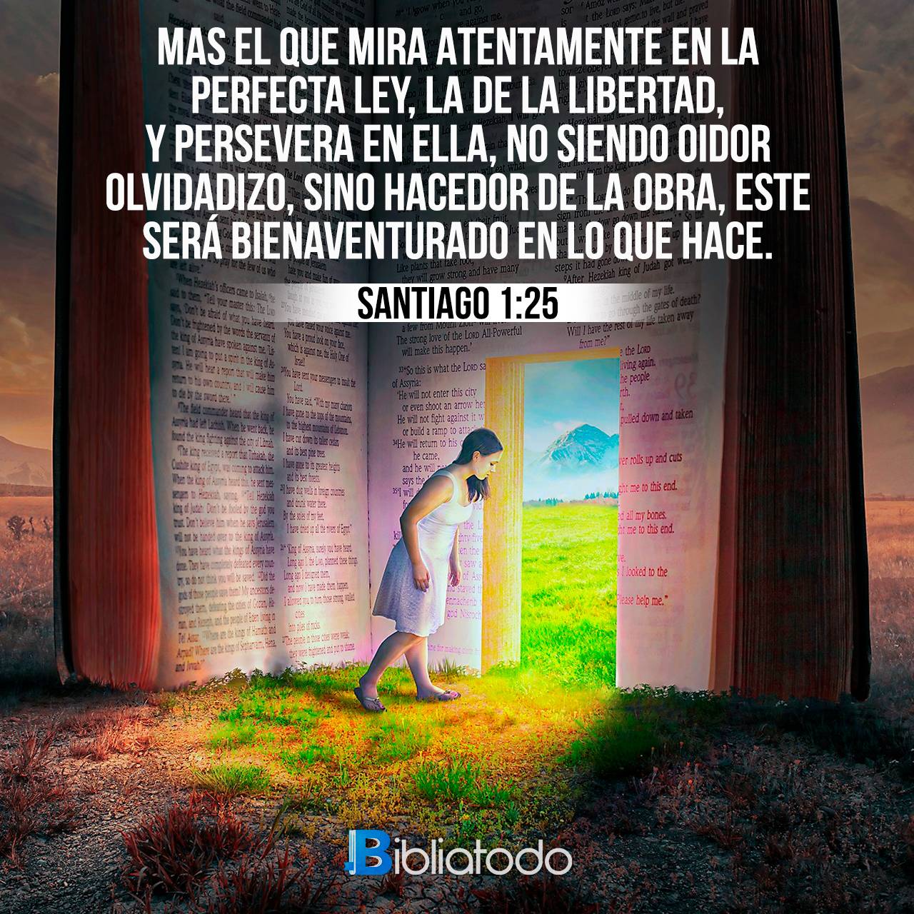 1) VERSICULOS DE LA BIBLIA - Página 5