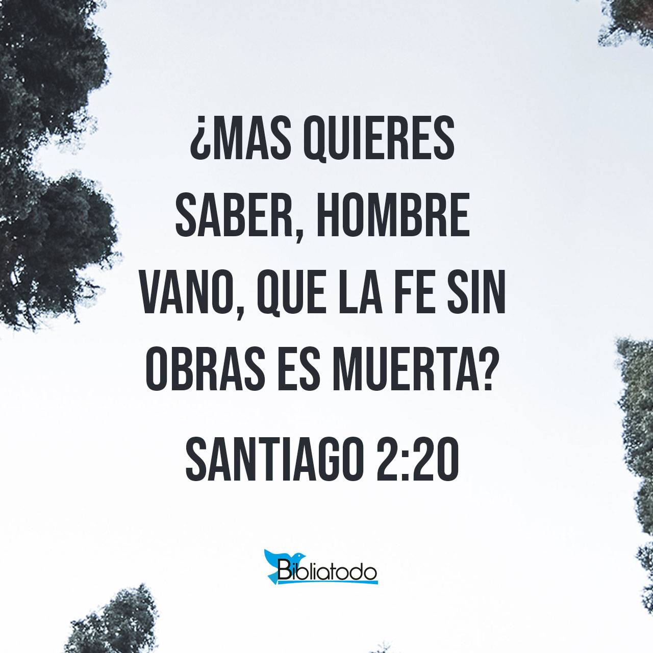 Santiago 2:20 TCB - ¿Qué es lo que quieres conocer, ¡Oh hombre tonto ...