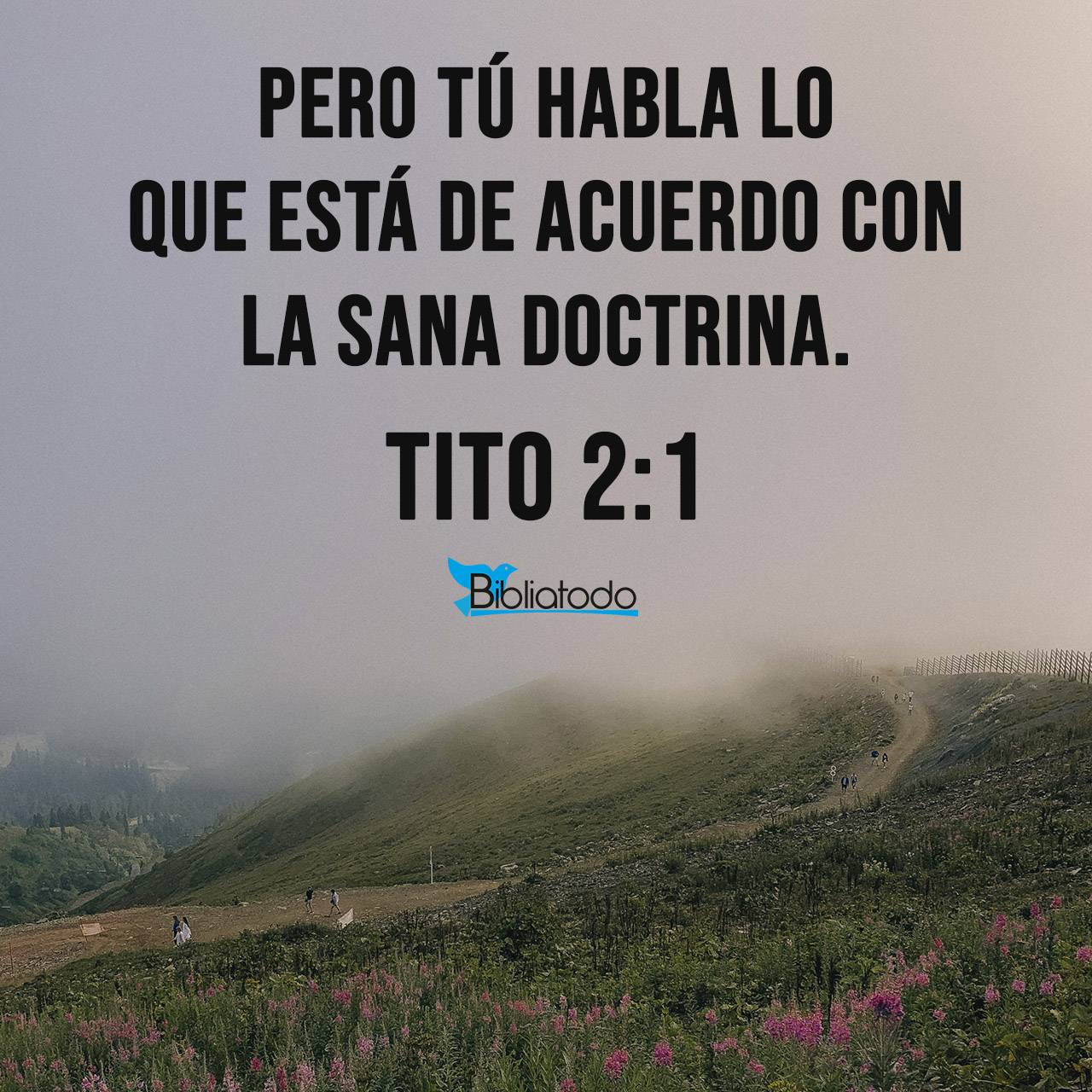 Tito 2:1 RV1960 - Pero tú habla lo que está de acuerdo con la sana ...