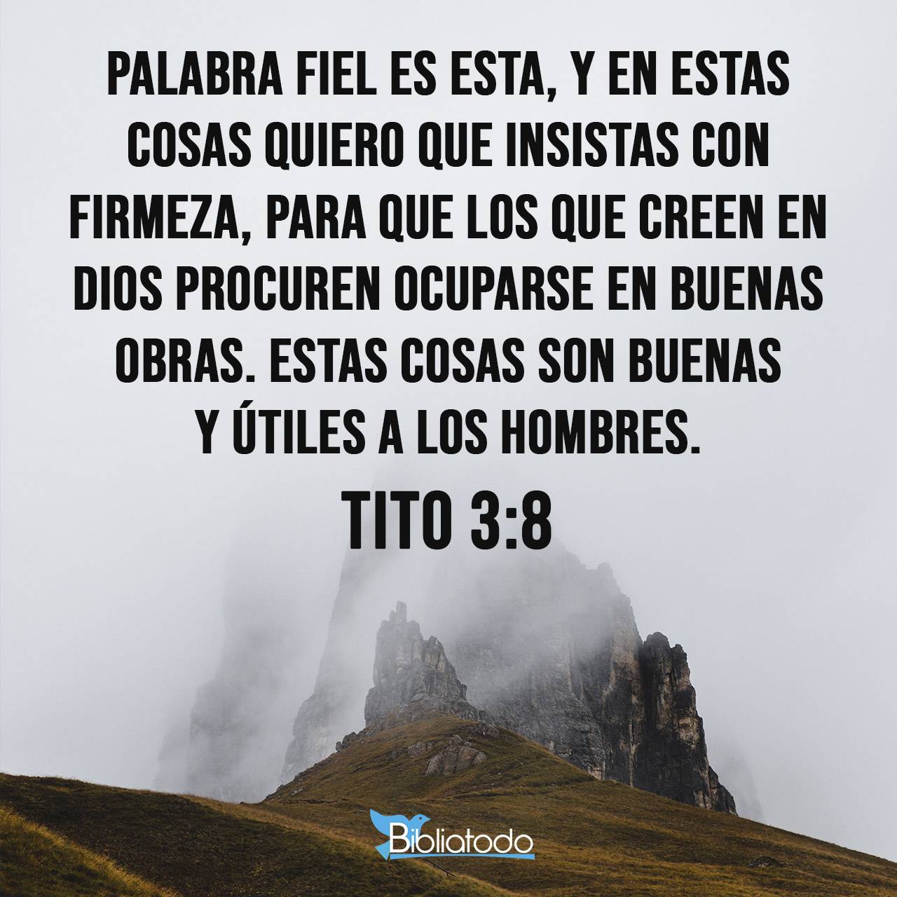 Significado De La Palabra Fiel En La Biblia En La Biblia - Infoupdate.org