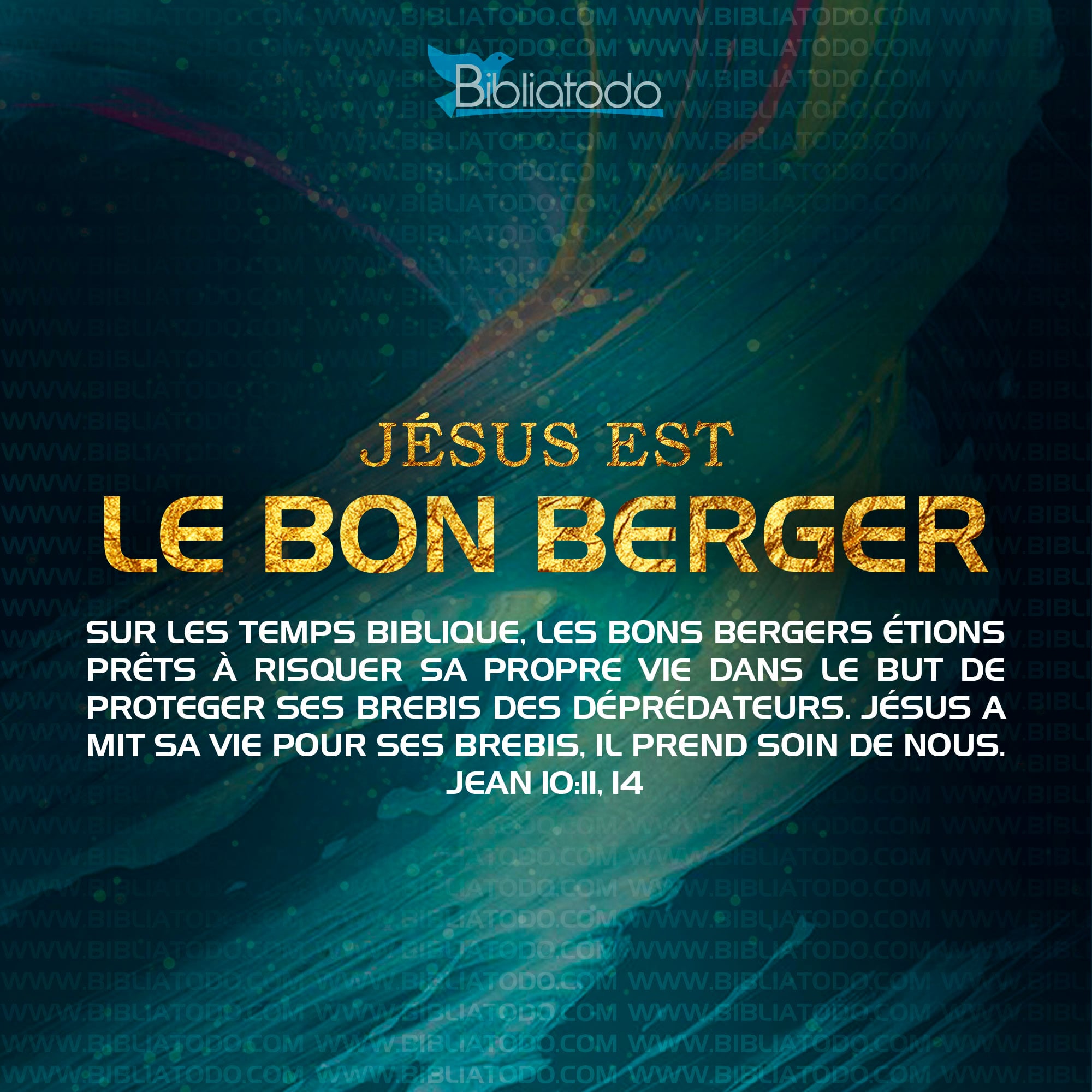 Sens Le bon Berger - Jésus est