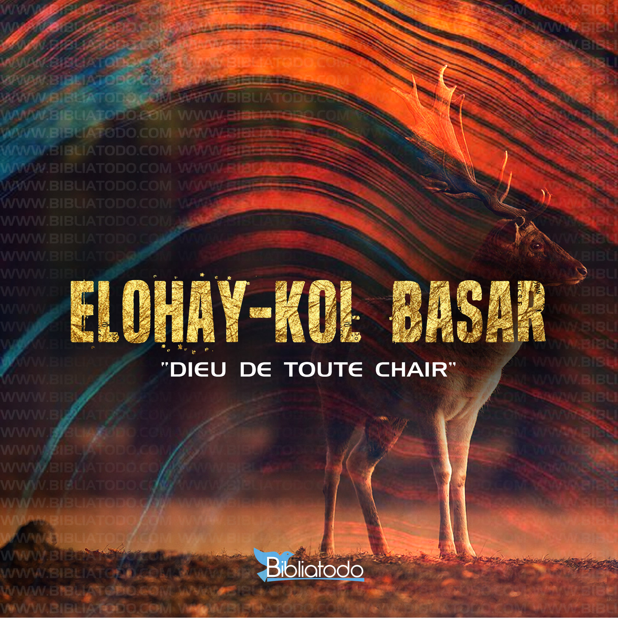 Sens ELOHAY-KOL BASAR - Noms de Dieu