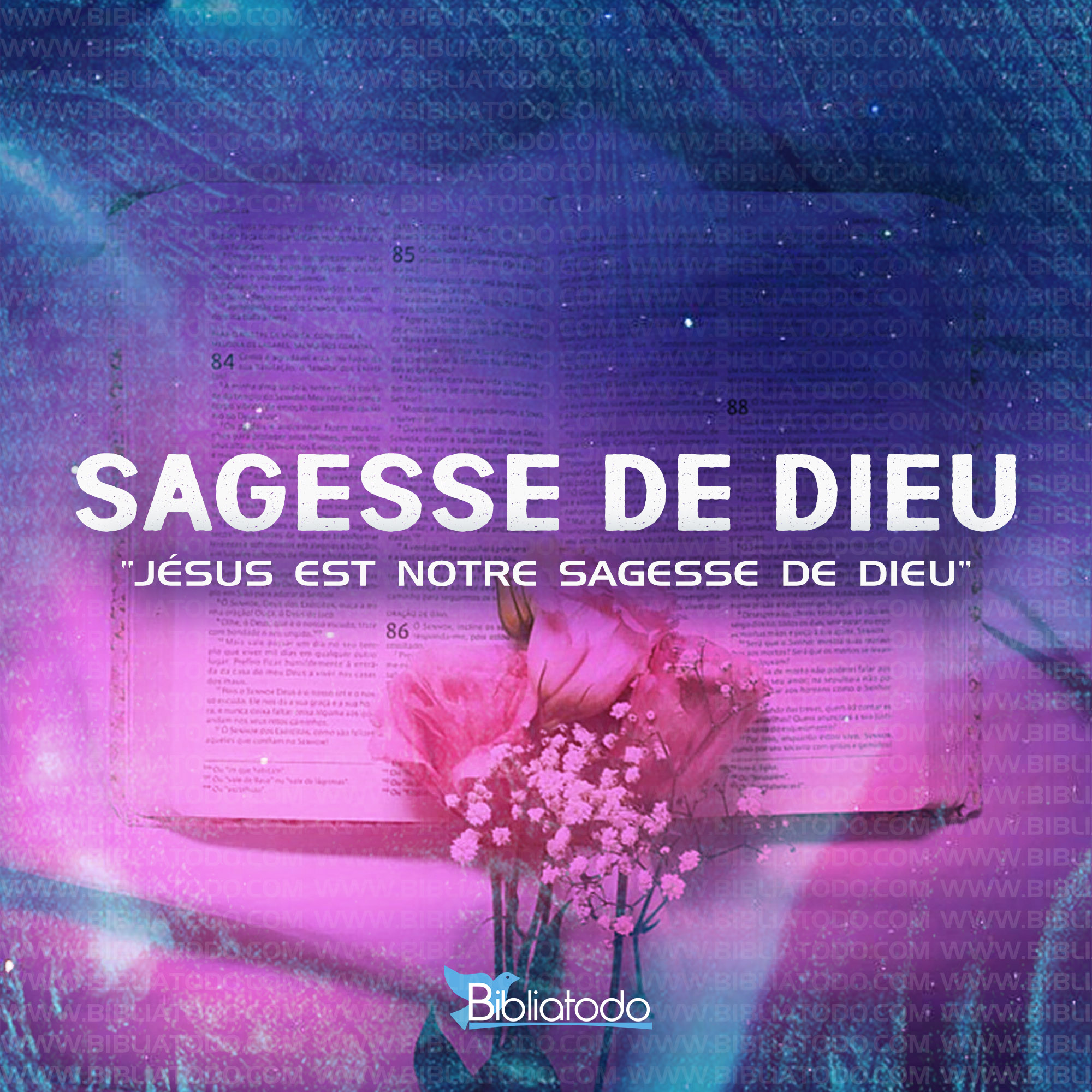 Sens SAGESSE DE DIEU - Noms de Jésus