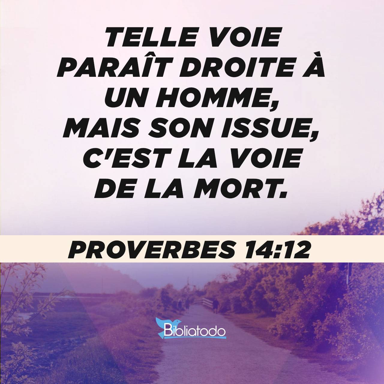 Proverbes 14:12 Références croisées de la Bible | Connexions verset par ...