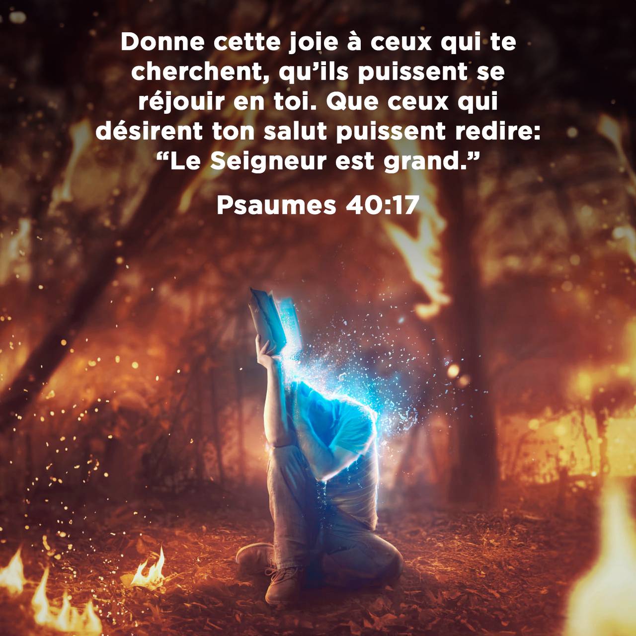 Psaumes 40:17 FRDBY - Et moi, je suis affligé et pauvre: le Seigneur ...