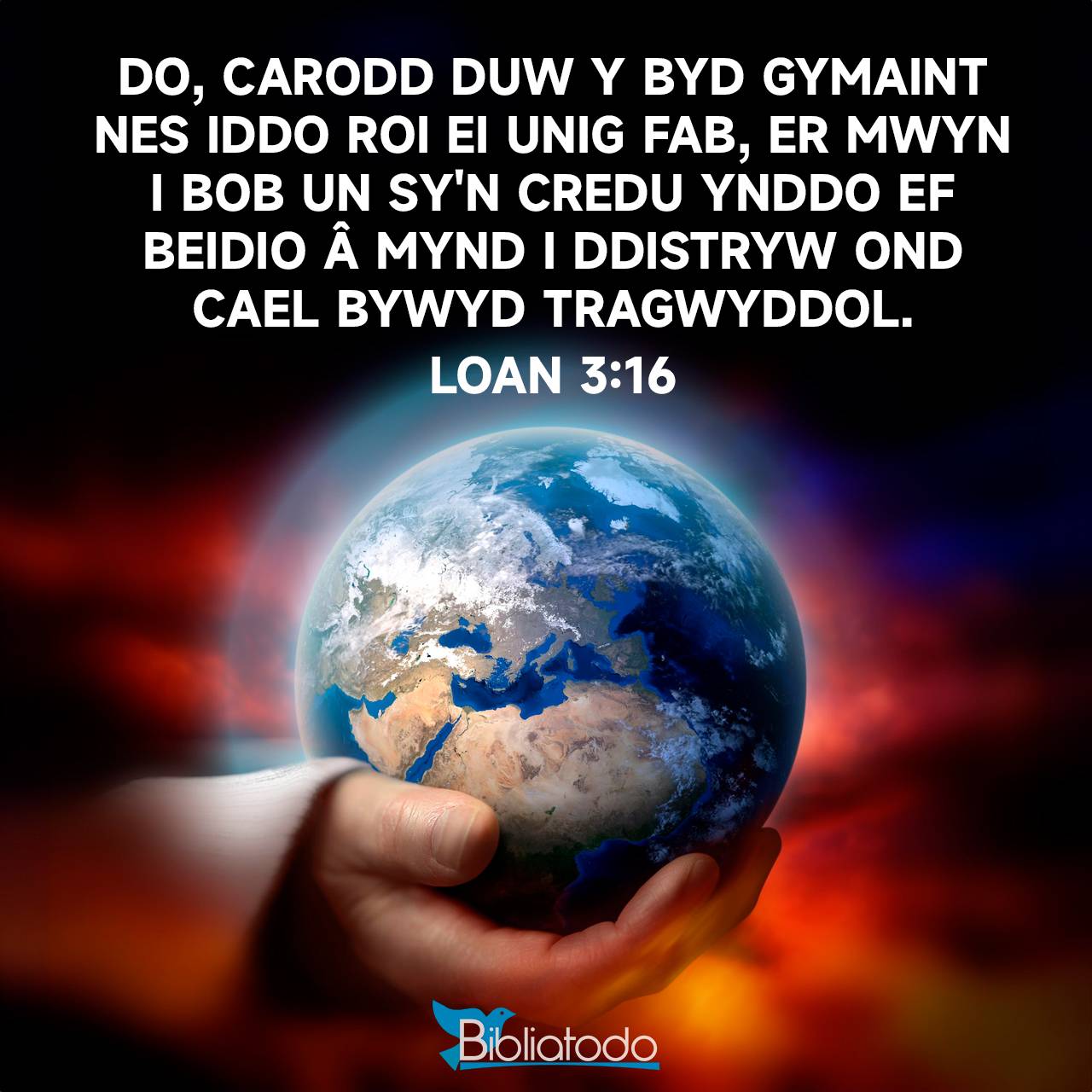 Loan 3:16 SBY1567 - ¶ Can ys velly y carodd Duw y byt, y n y roðes ef ...