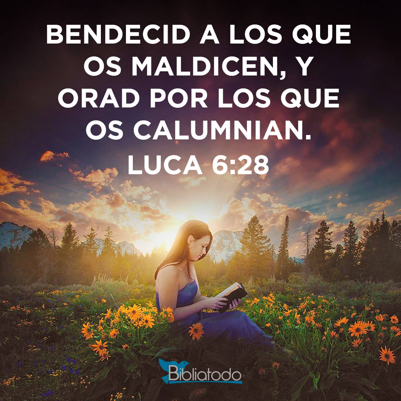 Luca 6:28 ICL00D - Benedite quelli che vi maledicono, pregate per ...