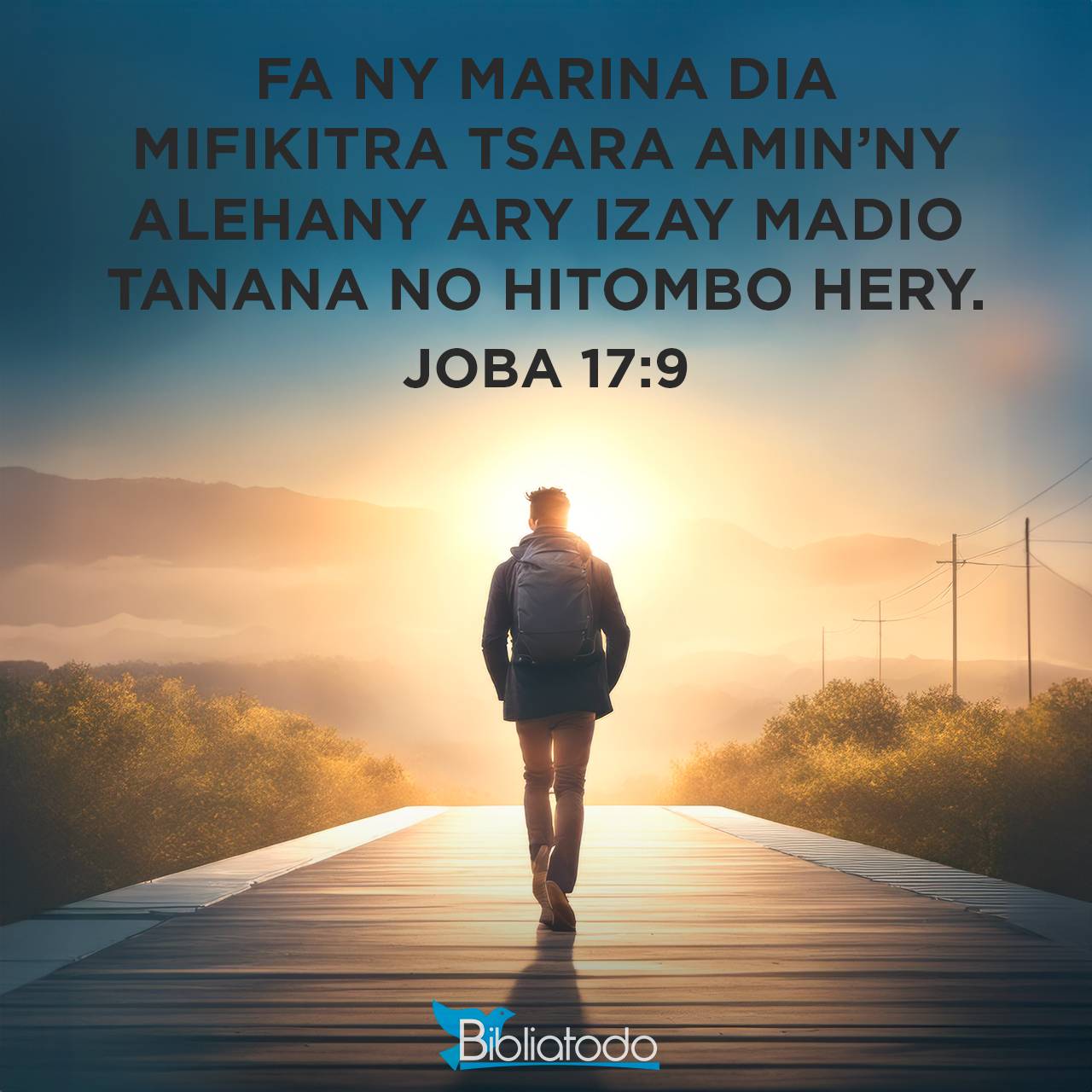 Joba 17:9 MG1865 - Fa ny marina mifikitra tsara amin'ny halehany, ary ...