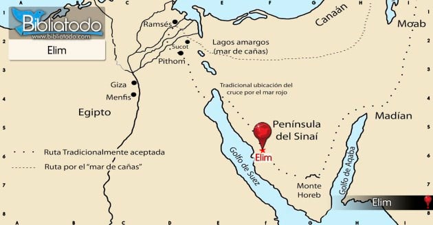 Elim: arboles o palmeras - Mapa y Ubicación Geográfica