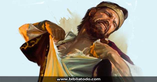 Tola - Significado, biografía e historia