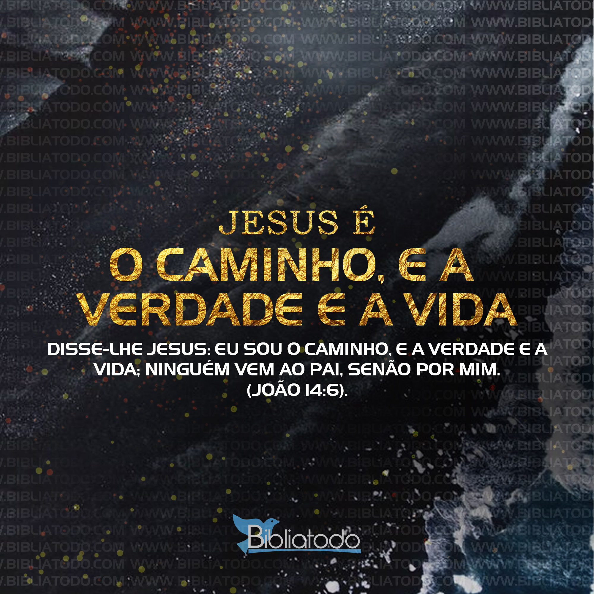 Significado do O Caminho, e a Verdade e a Vida - Jesus é