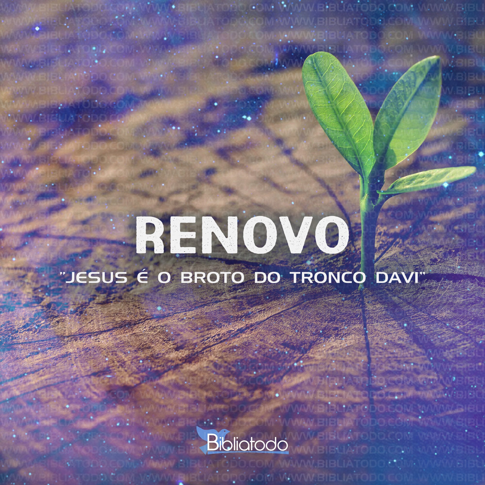 Significado do RENOVO - Nomes de Jesus