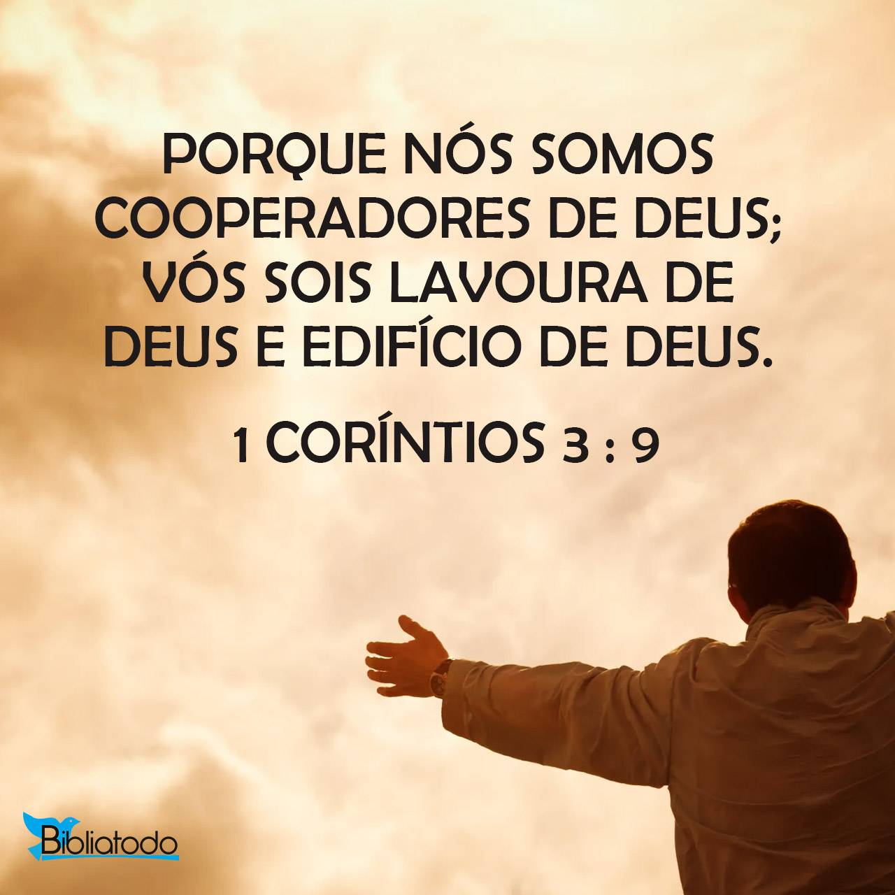 1 Coríntios 3:9 ARC - Porque nós somos cooperadores de Deus; vós sois lavoura de Deus e edifício ...